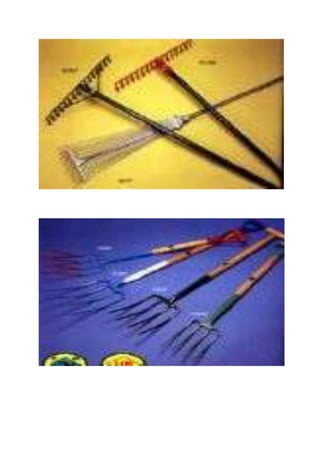 AgriCrop Production Activity 1- Oral Recitation.docx