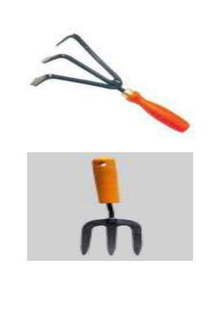 AgriCrop Production Activity 1- Oral Recitation.docx