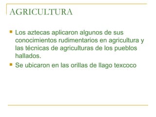 Agricultura Azteca