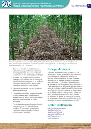 Agricultura conservativa | PDF
