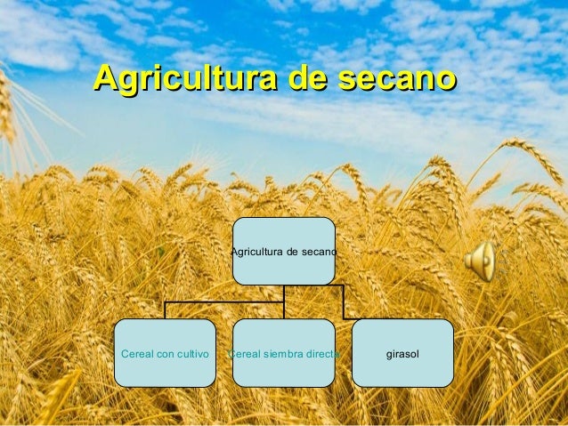 Agricultura De Secano