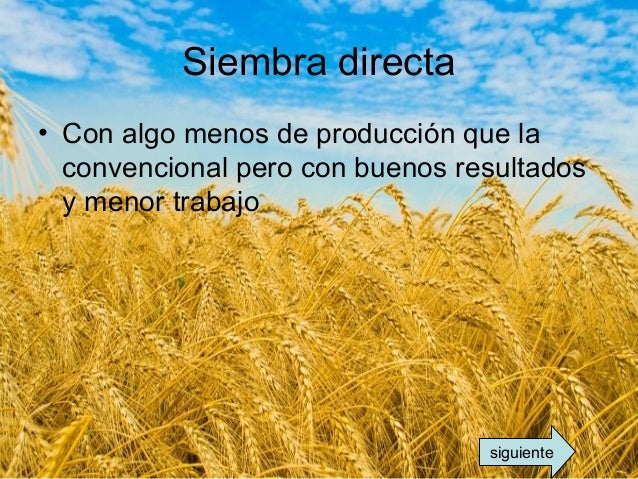 Agricultura De Secano
