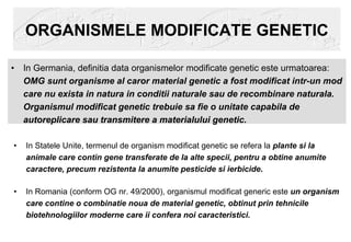 Agricultura ecologica vs OMG | PDF