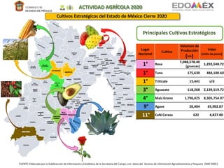 AGRICULTURA ESTADO DE MEXICO.pptx