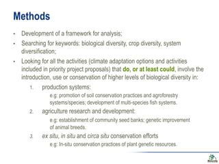 Agricultural biodiversity in climate change adaptation planning | PPTX