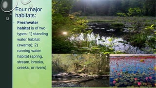 You can learn about agricultural-biology.pptx