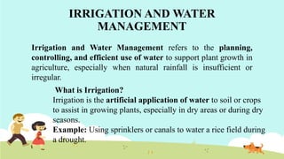 AGRICULTURAL-CROP_PRODUCTION AND WHISKCopy.pptx