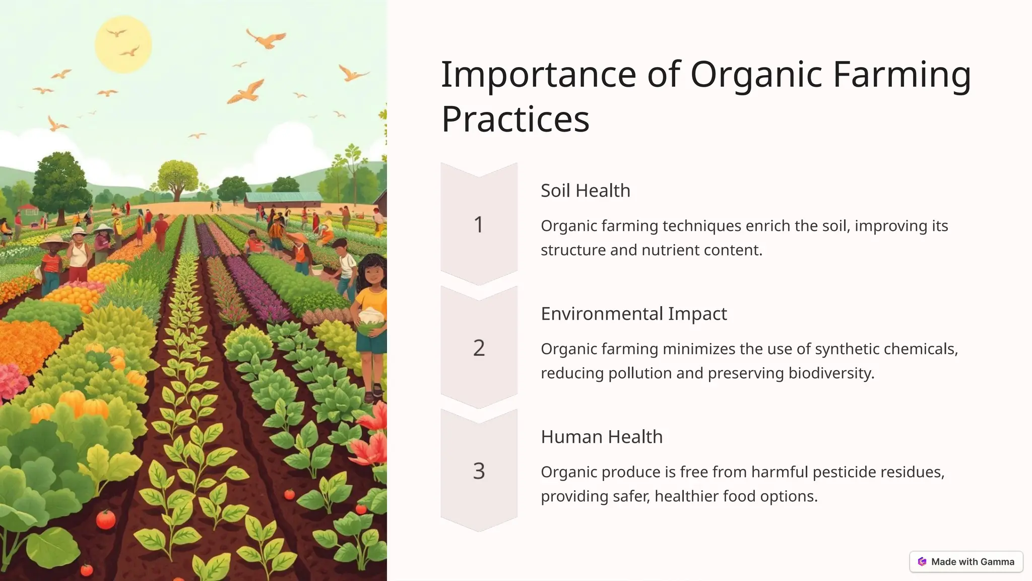 Agricultural-Practices-in-Crop-Production.pptx