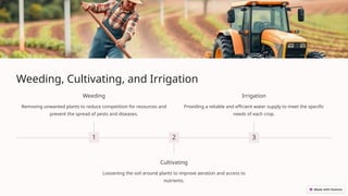 Agricultural-Practices-in-Crop-Production.pptx