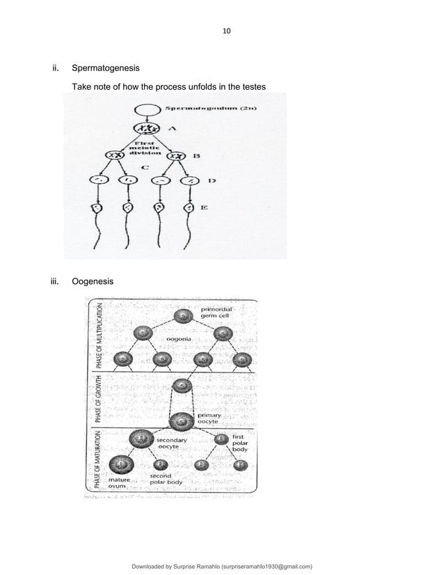 agricultural-sciences-grade-12-notes.pdf