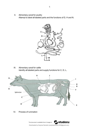 agricultural-sciences-grade-12-notes.pdf
