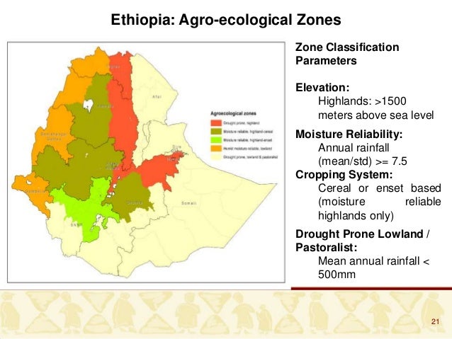 Realizing Rural and Agricultural Transformation in Ethiopia – Some Re…