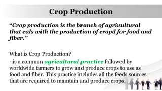 AGRICULTURAL ARTS PLANT PRODUCTION GROUP 5.pptx