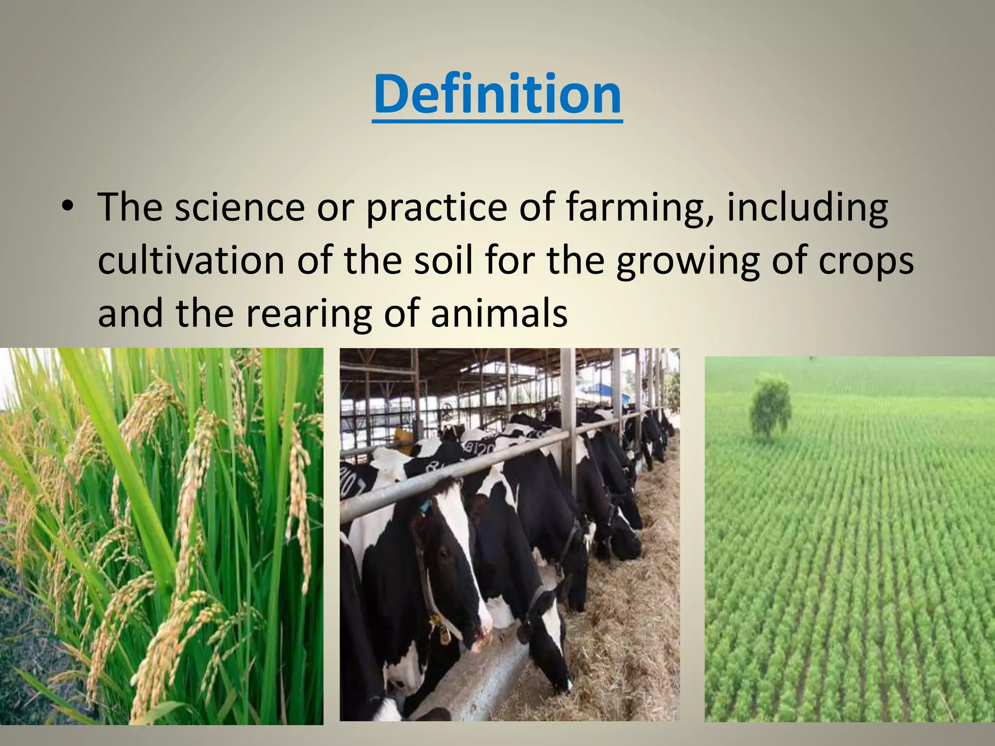 status of india in agriculture production | PPTX