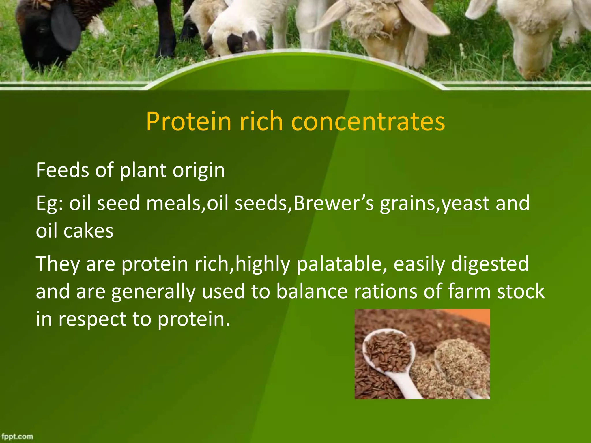 Feed resources of farm animal | PPTX