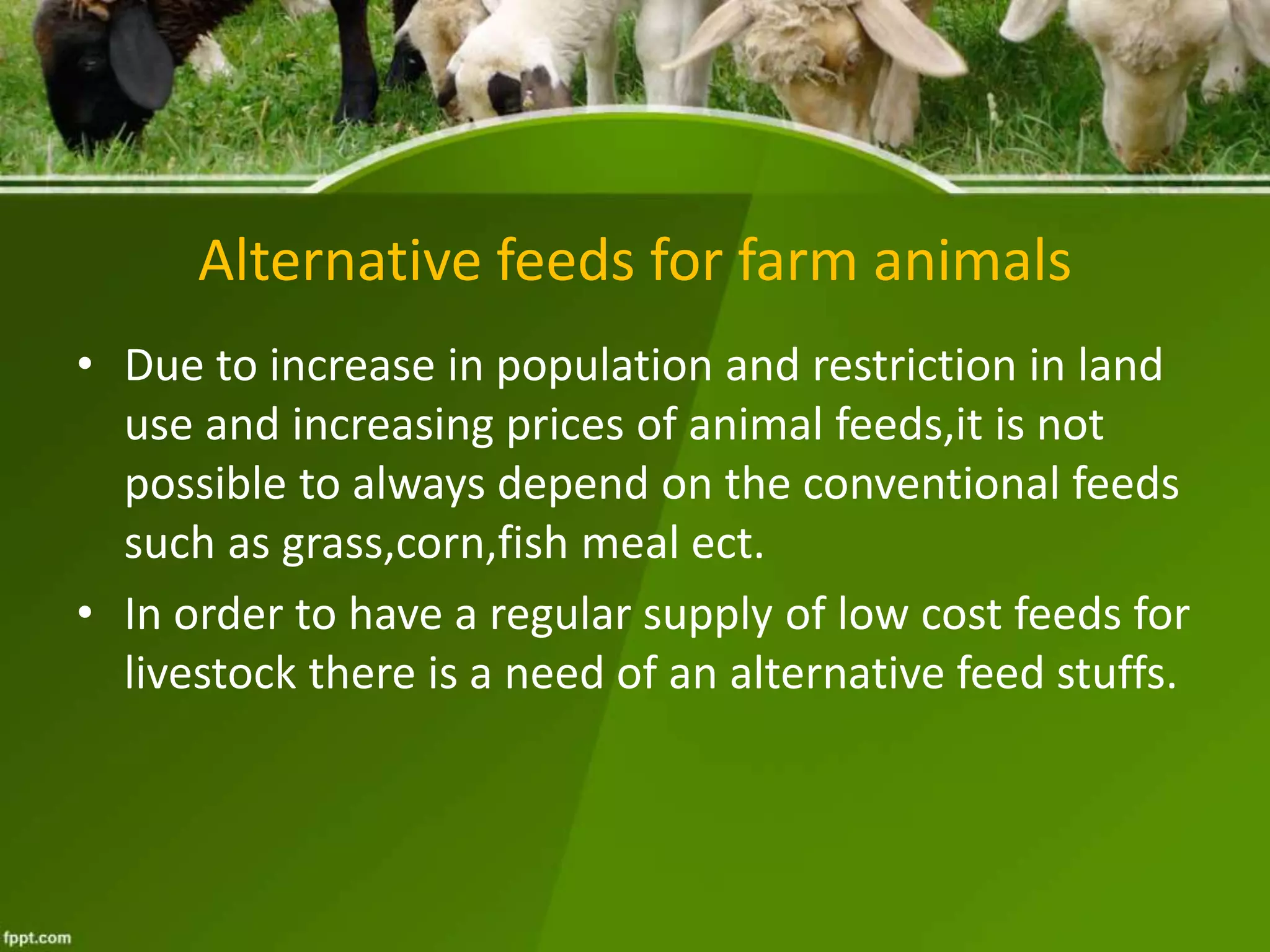 Feed resources of farm animal | PPTX