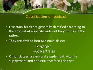 Feed resources of farm animal | PPTX