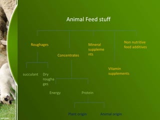 Feed resources of farm animal | PPTX
