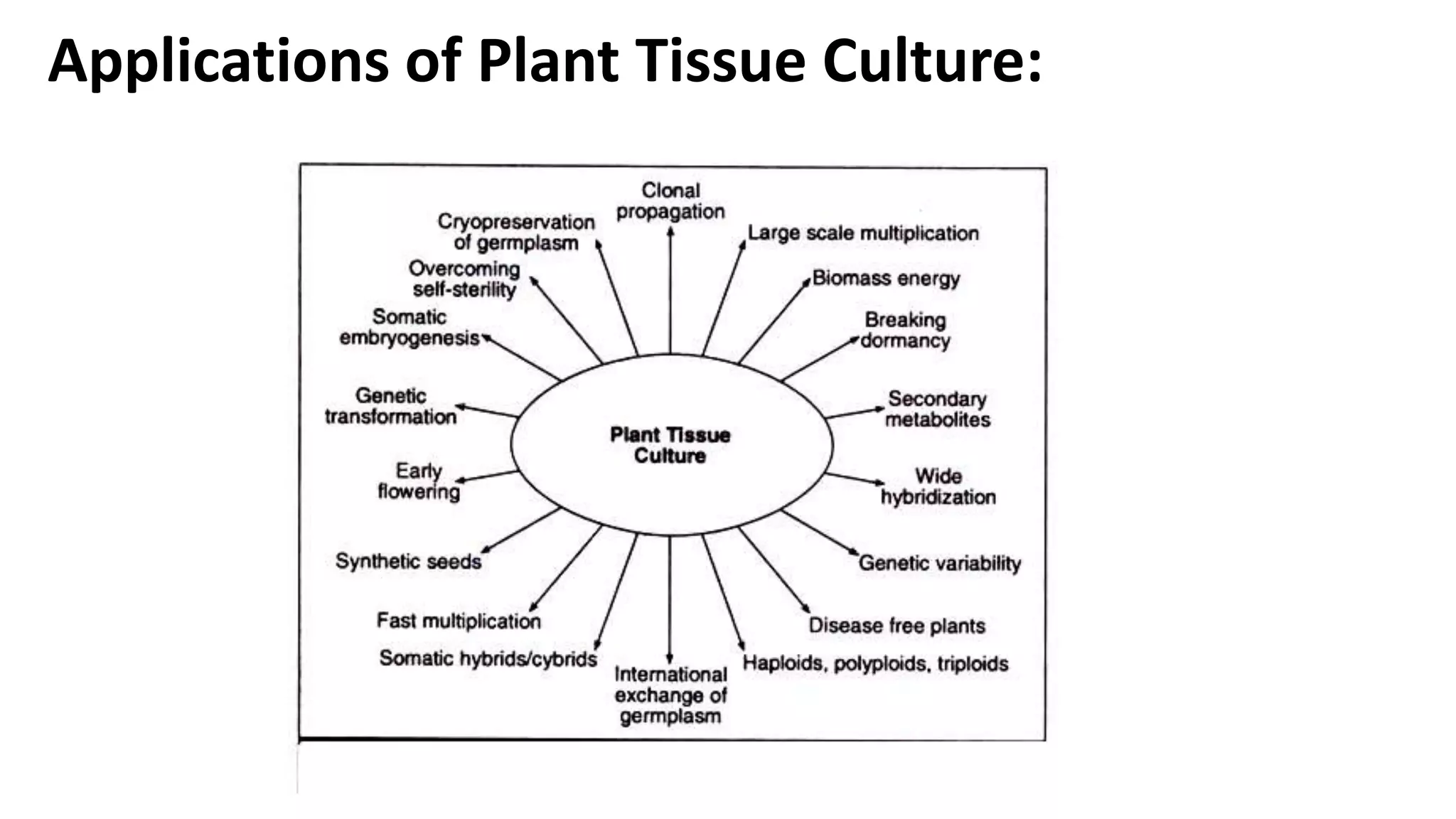 plant tissue culture and its applications. Agricultural biotech. | PPTX