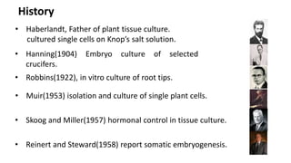 plant tissue culture and its applications. Agricultural biotech. | PPTX