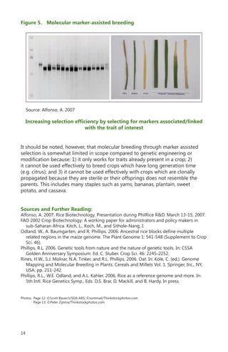 Agricultural biotechnology | PDF