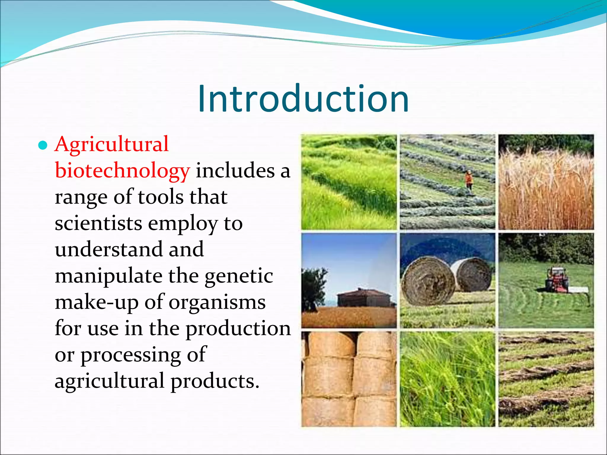 Agricultural Biotechnology.pptx | Agriculture | Industries