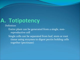 Agricultural Biotechnology.pptx | Agriculture | Industries