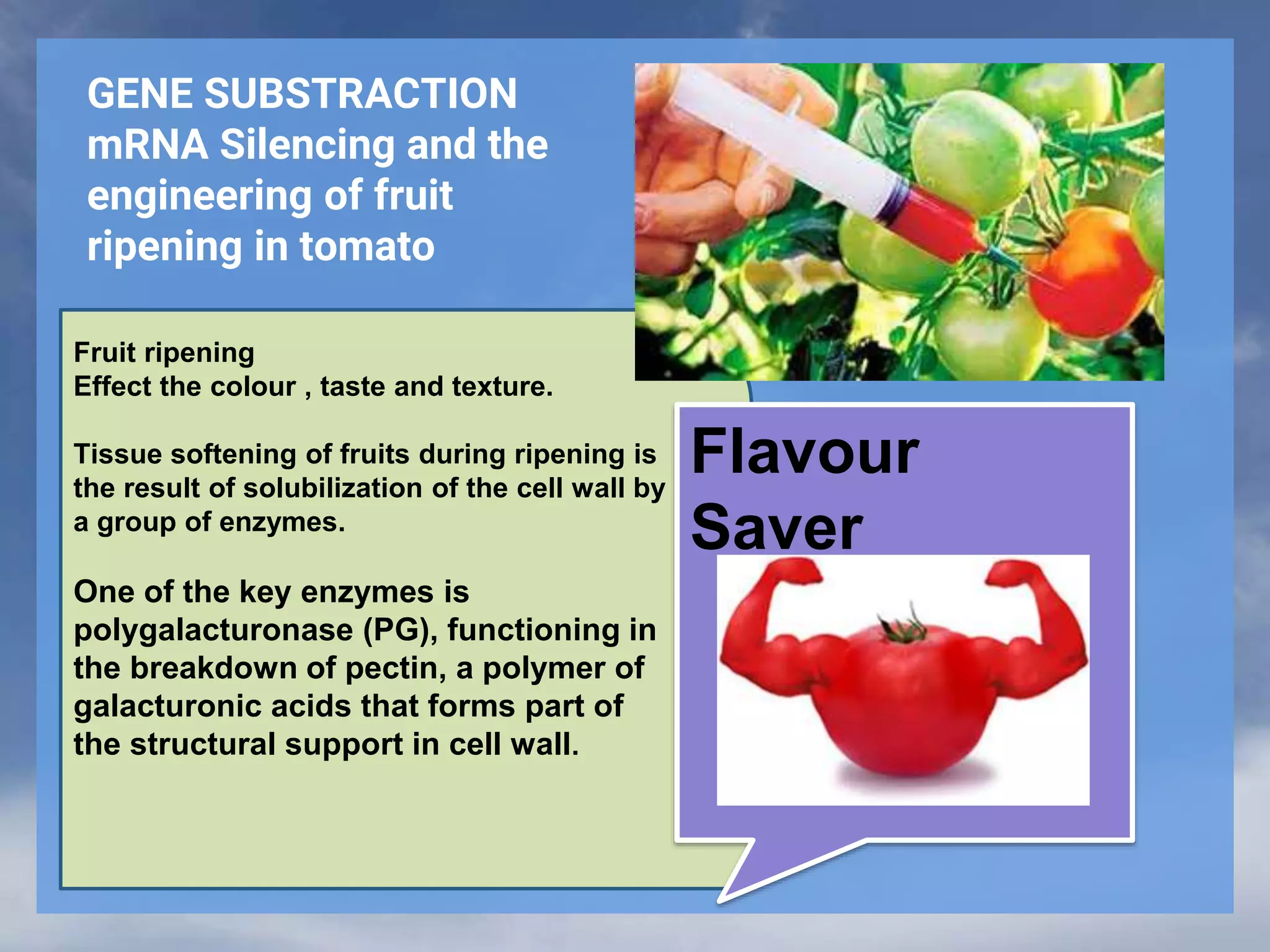 Agricultural biotechnology, overview | PPTX