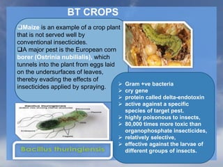 Agricultural biotechnology, overview | PPTX