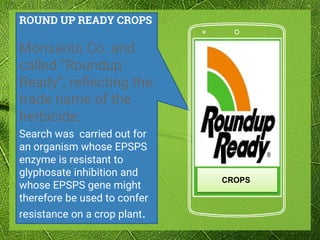 Agricultural biotechnology, overview | PPTX