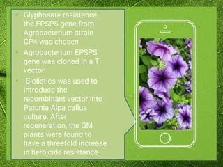 Agricultural biotechnology, overview | PPTX