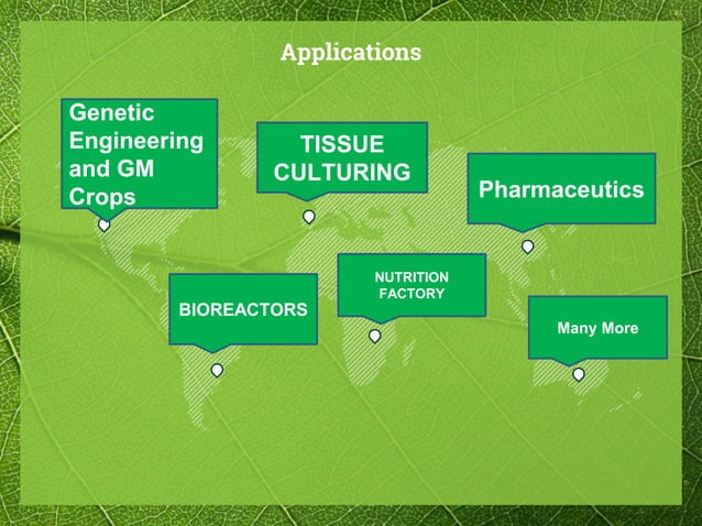 Agricultural biotechnology, overview | PPTX
