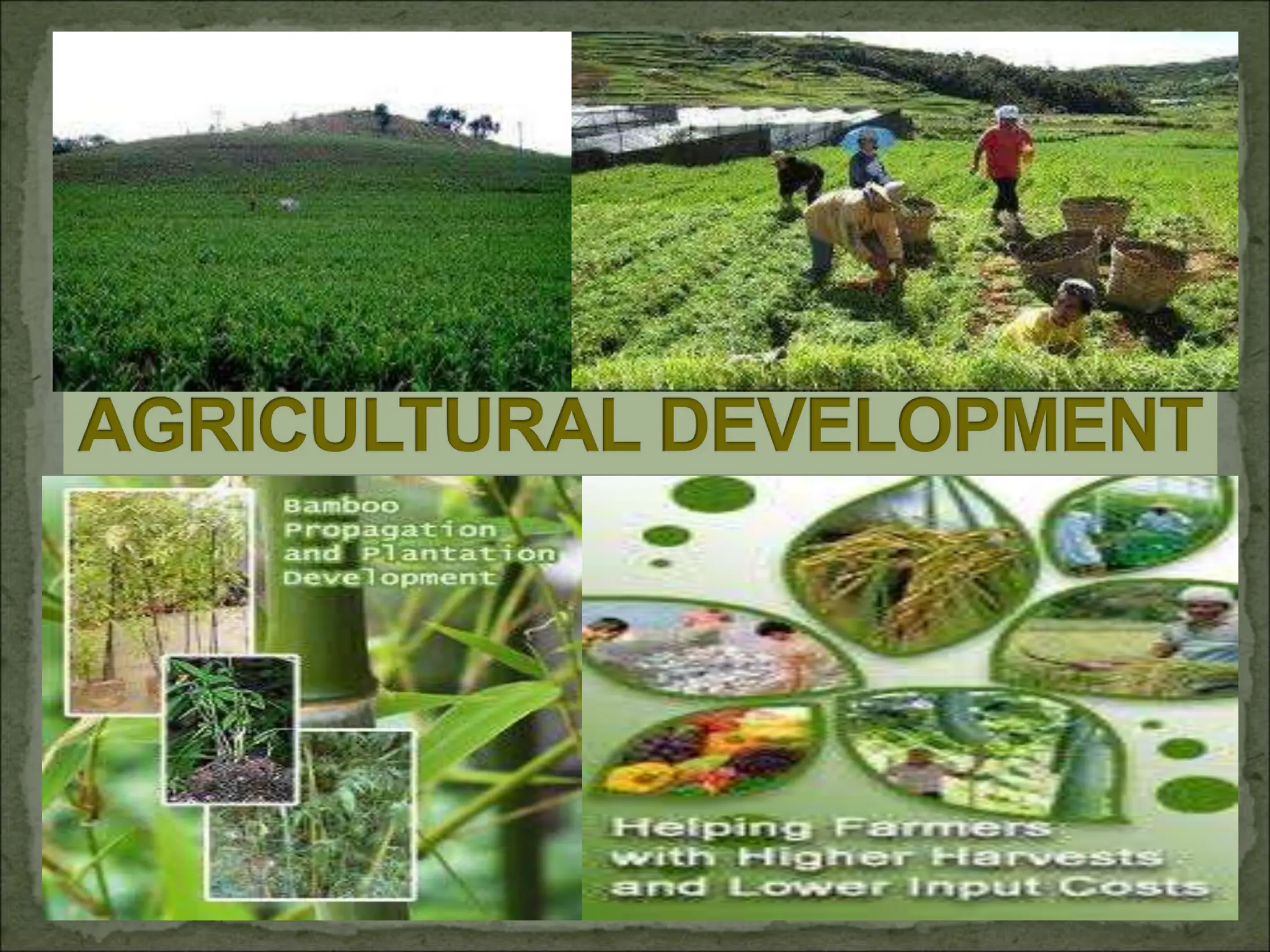 AGRICULTURAL DEVELOPMENT-Presentation.ppt
