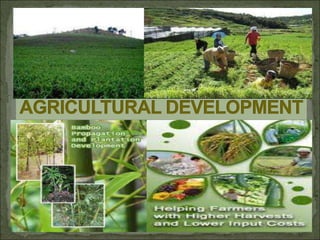 AGRICULTURAL DEVELOPMENT-Presentation.ppt