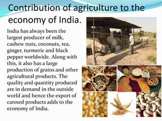Agricultural Development In India | PPTX