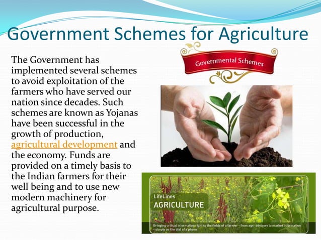 Agricultural Development In India | PPTX