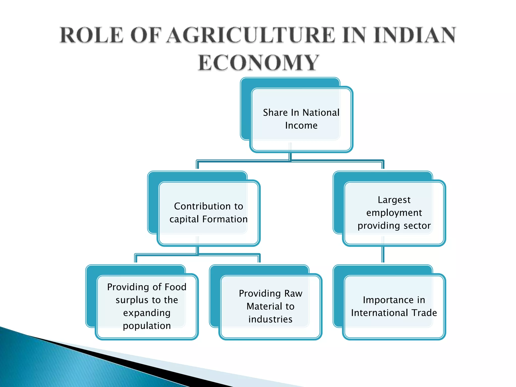 Agricultural Economics-1.pptx