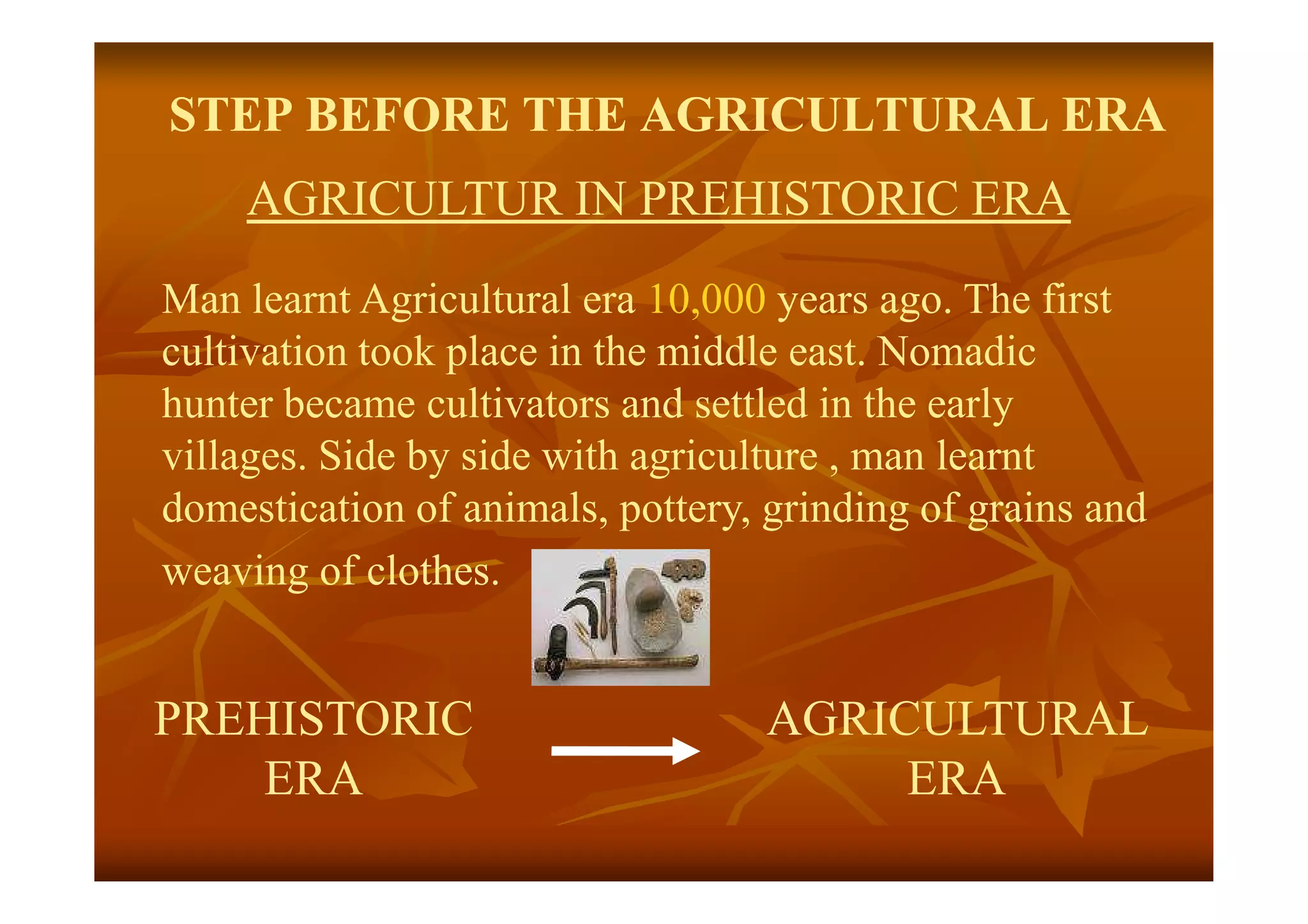 Agricultural Era | PDF