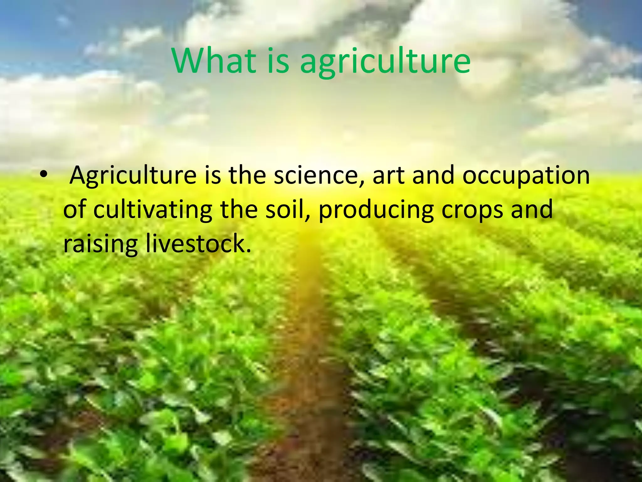 Agricultural health hazards | PPTX