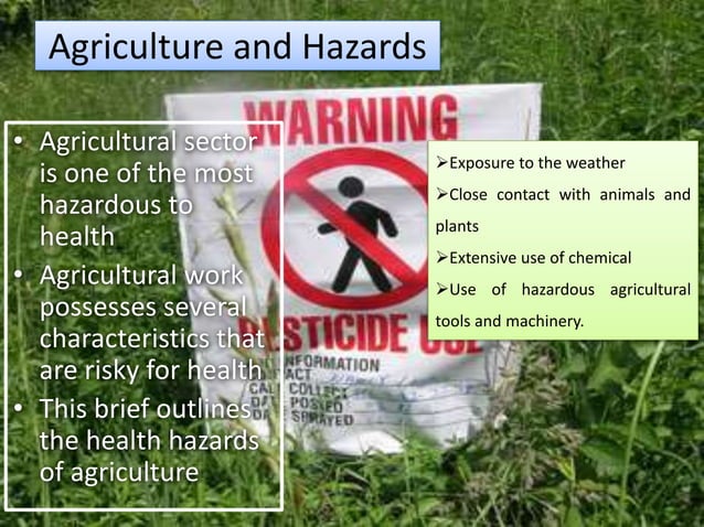 Agricultural health hazards | PPTX | Lung and Respiratory Health ...