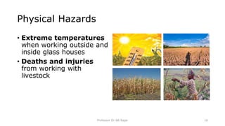 Agricultural Health Hazards.pptx