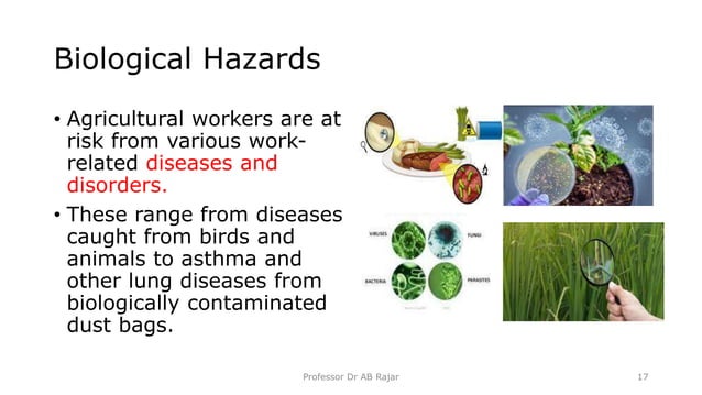 Agricultural Health Hazards.pptx