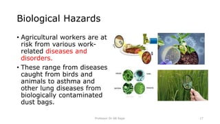 Agricultural Health Hazards.pptx