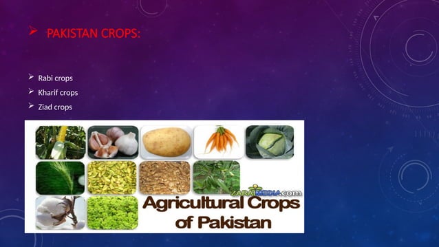 🌾 Introduction to Agriculture and Residence Patterns 🌍.pptx