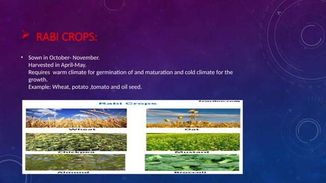 🌾 Introduction to Agriculture and Residence Patterns 🌍.pptx