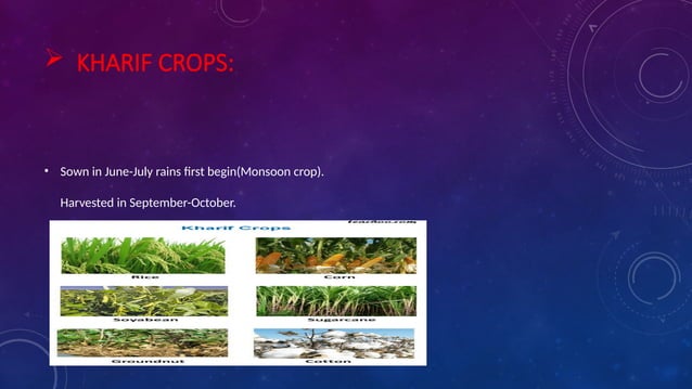 🌾 Introduction to Agriculture and Residence Patterns 🌍.pptx