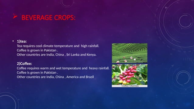 🌾 Introduction to Agriculture and Residence Patterns 🌍.pptx