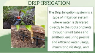 Agricultural Irrigation Practice. AFA .pptx