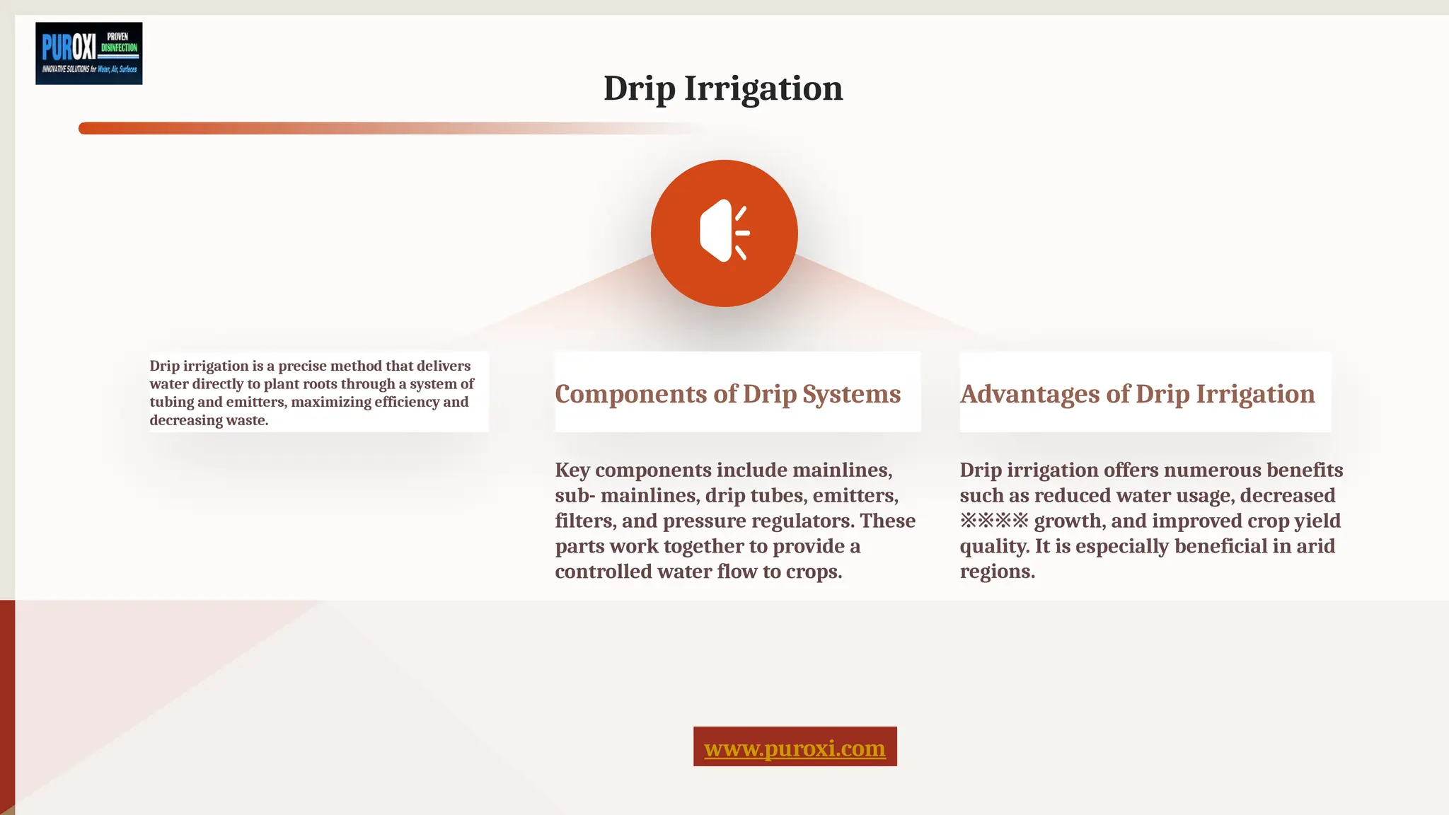 Agricultural Irrigation Systems_ An Overview of Techniques and Benefits ...