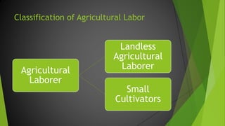 Agricultural labor in india | PPTX
